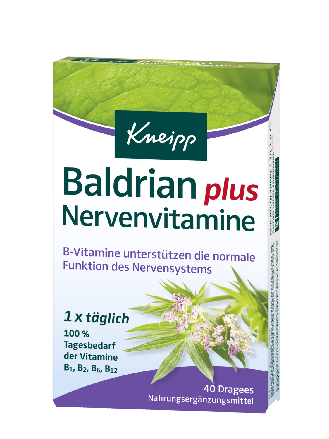 Kneipp® doplněk stravy Kozlík Plus | Kneipp
