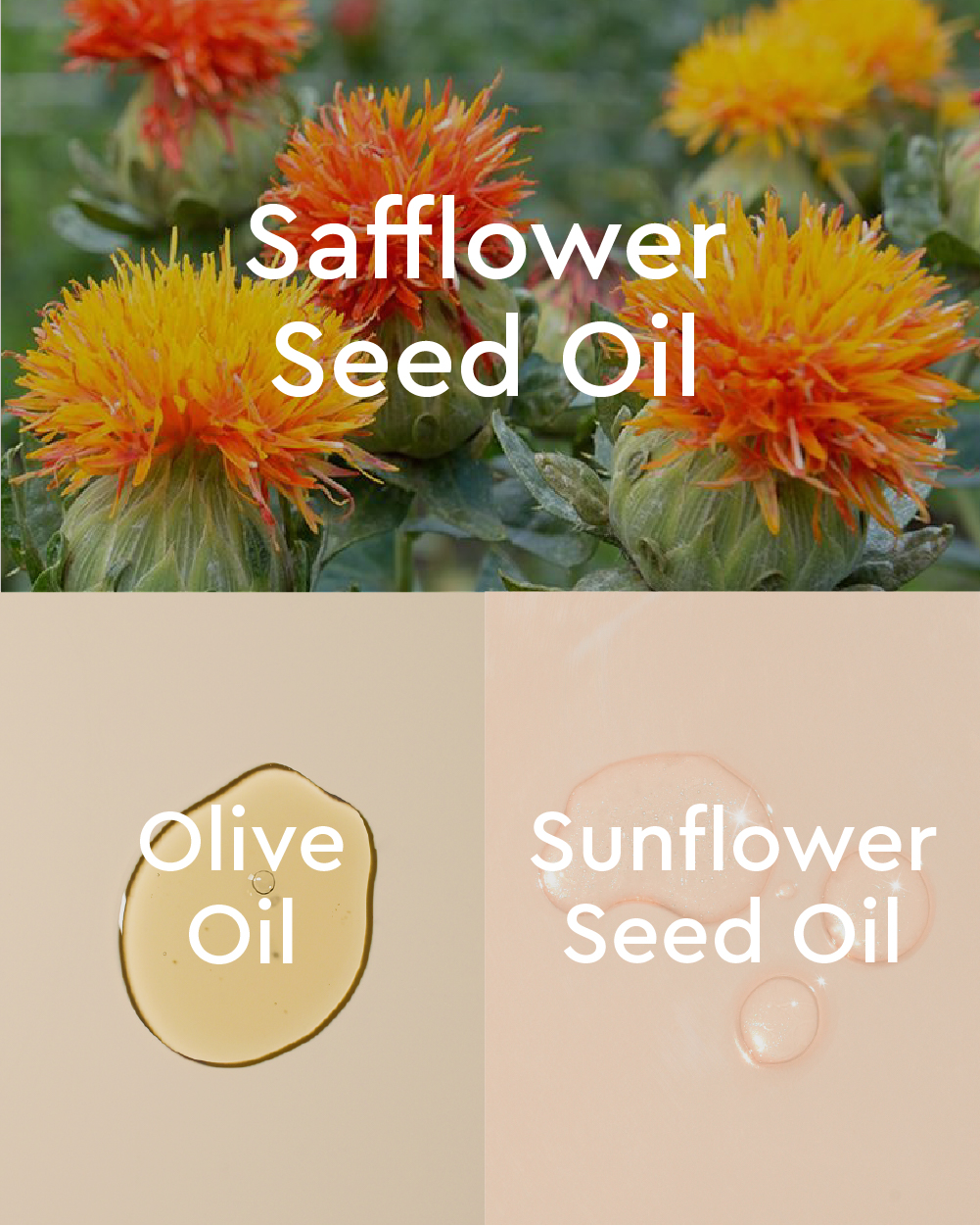 Safflower Oil Benefits